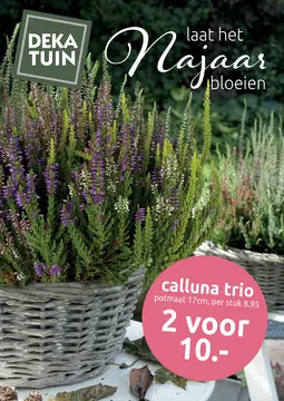 Nieuwe folders en aanbiedingen | AlleFolders